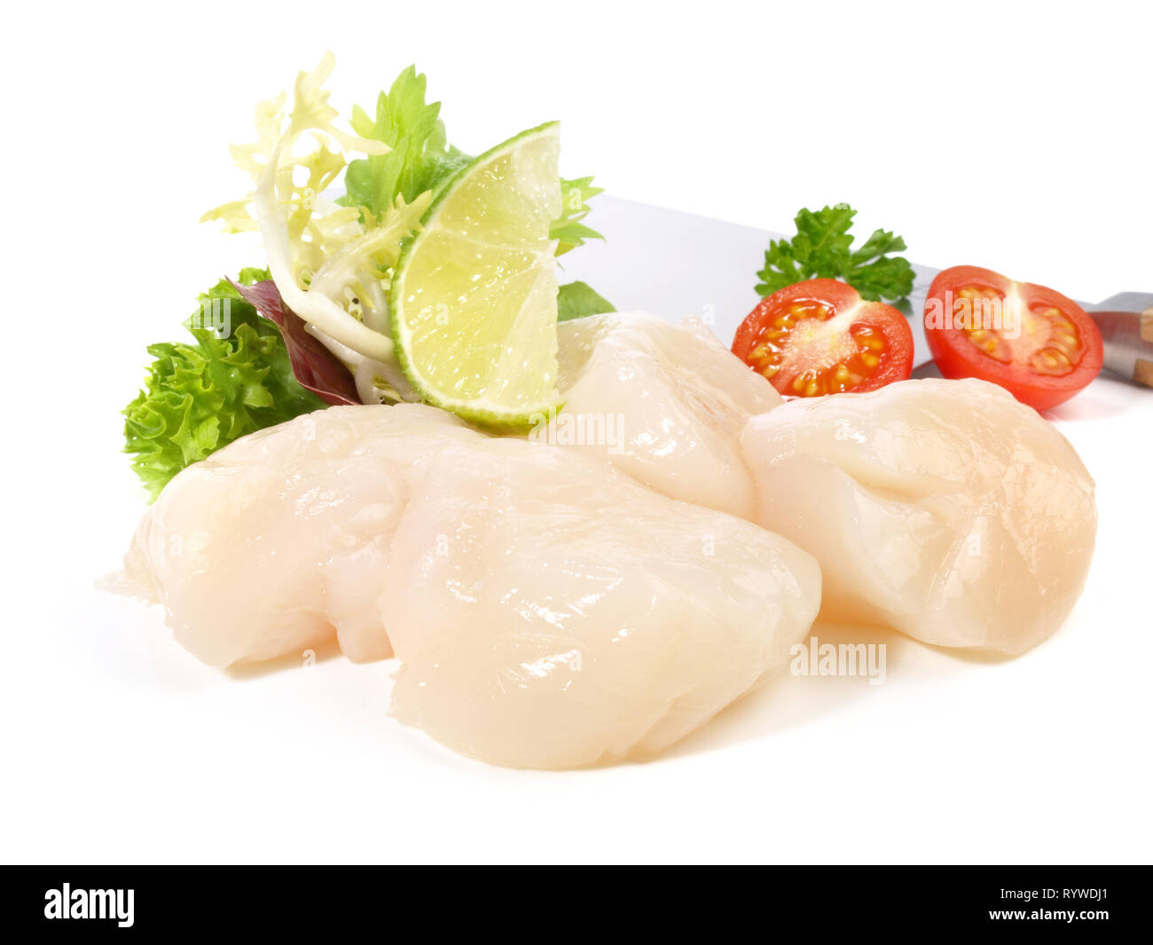 Scallops on white Background Stock Photo - Alamy