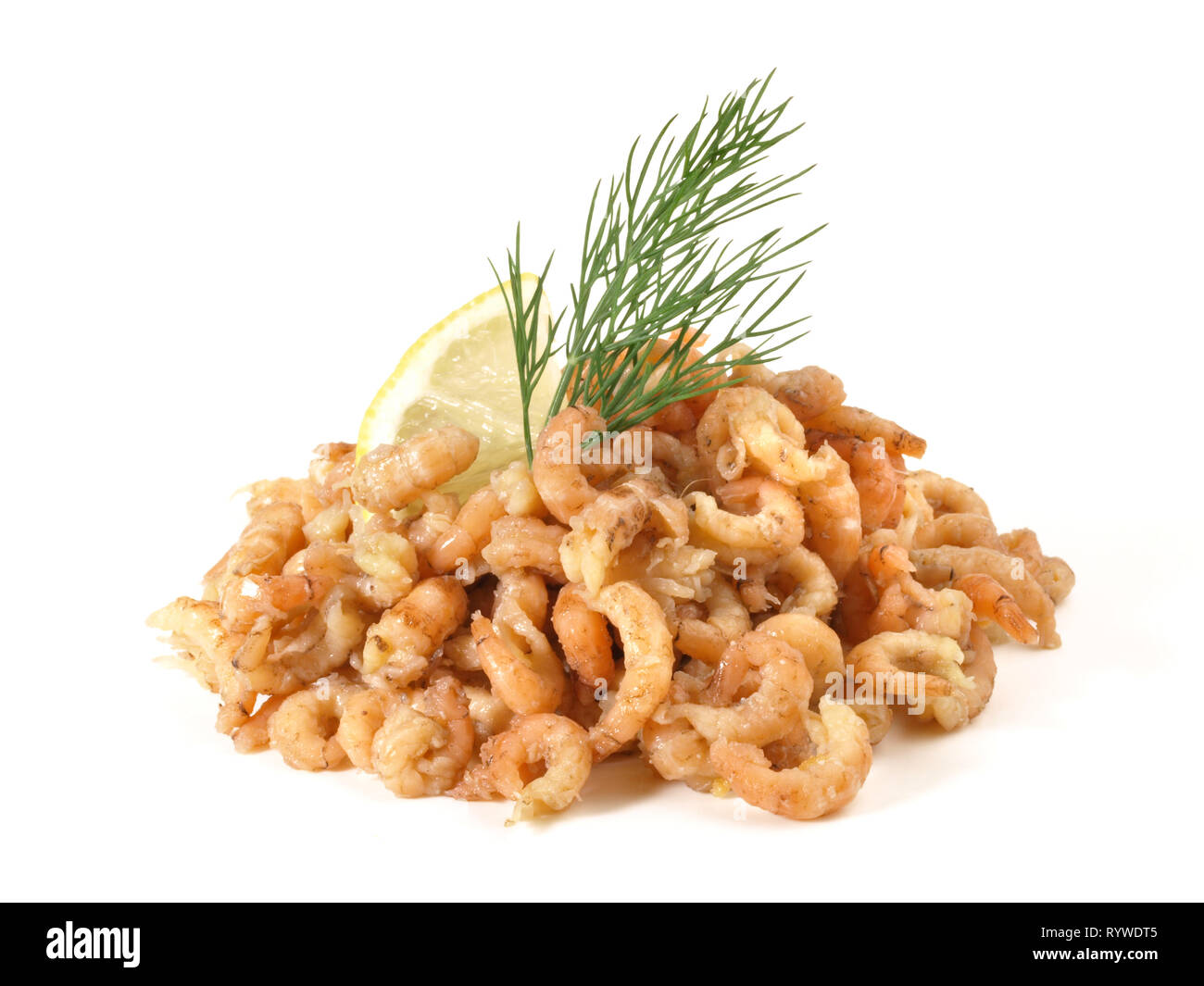 Atlantic white shrimp hi-res stock photography and images - Alamy