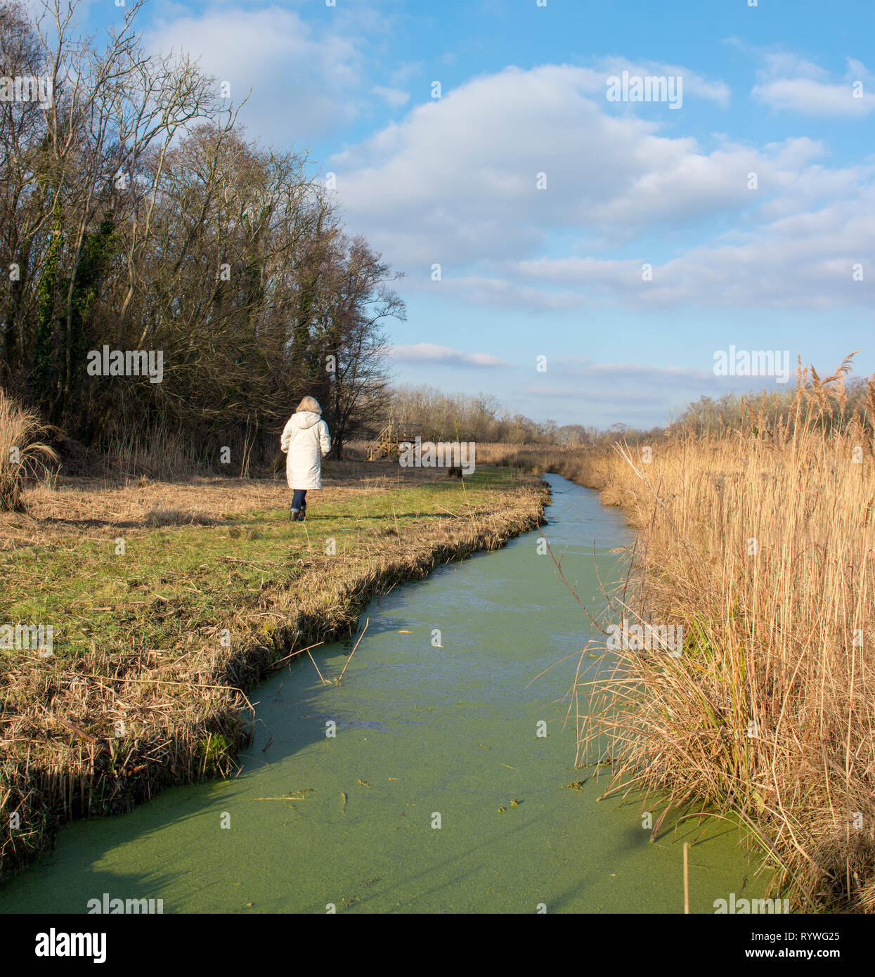 Upton marsh norfolk hi-res stock photography and images - Alamy