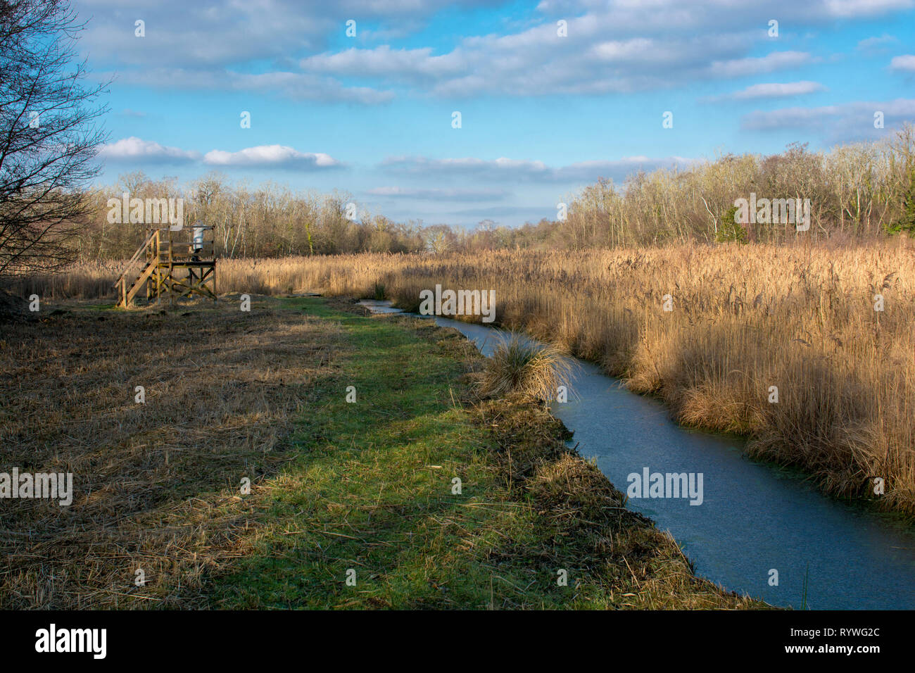 Upton marsh norfolk hi-res stock photography and images - Alamy