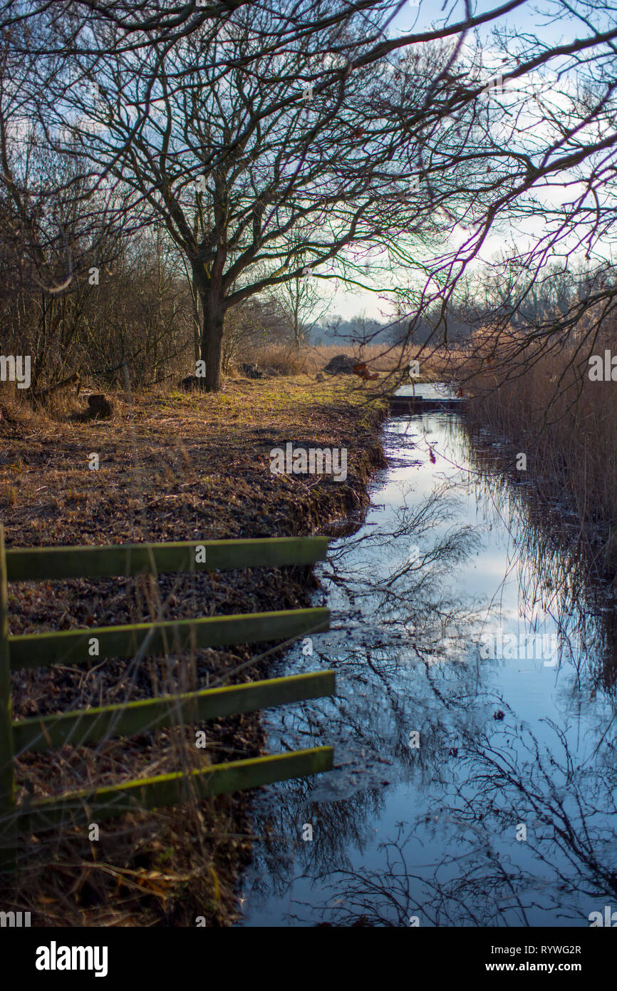 Upton marsh norfolk hi-res stock photography and images - Alamy