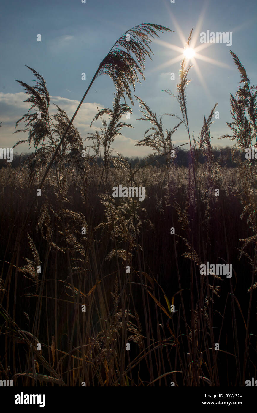 Upton marsh norfolk hi-res stock photography and images - Alamy