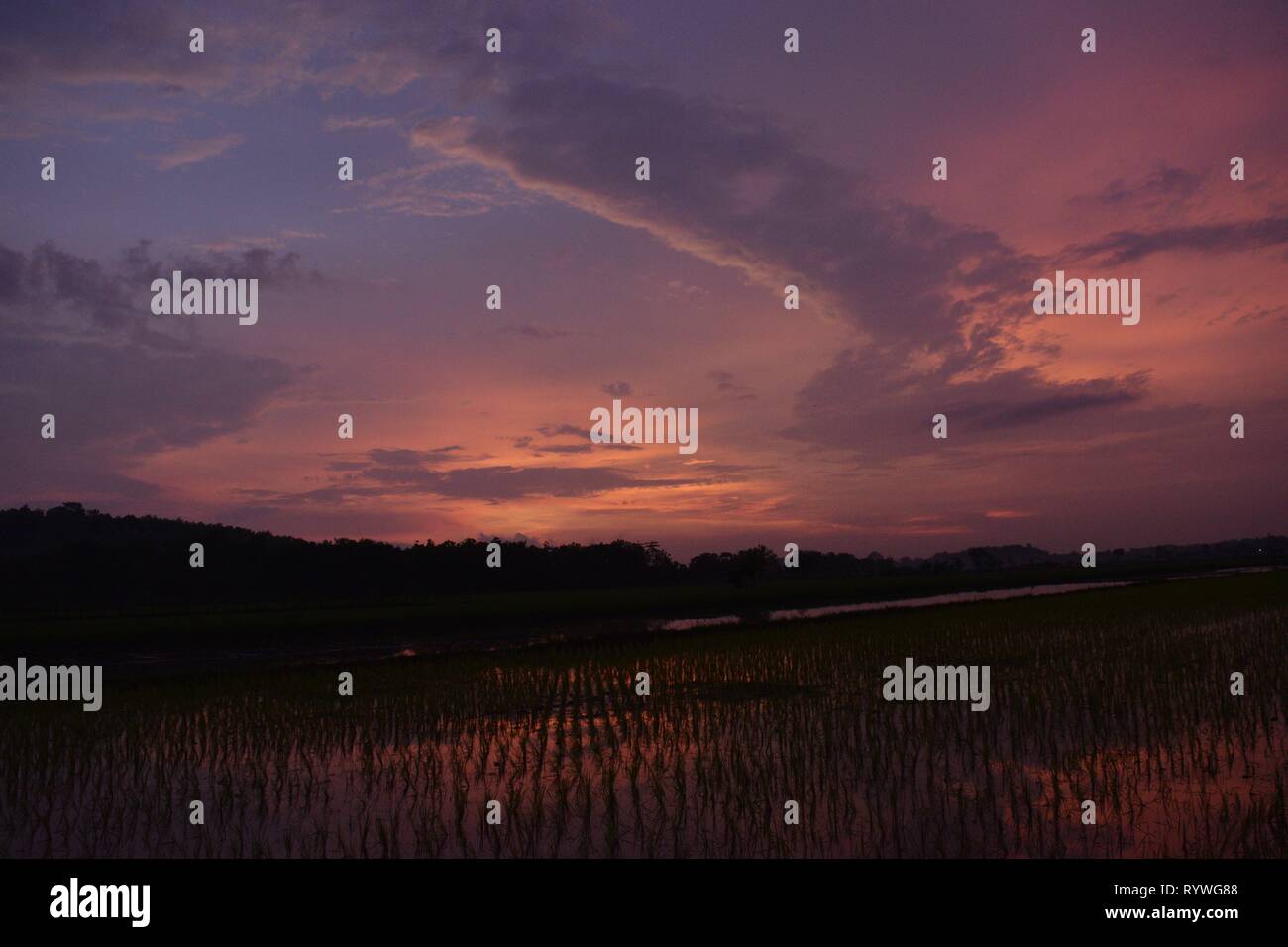 Sunset background in the afternoon Stock Photo - Alamy
