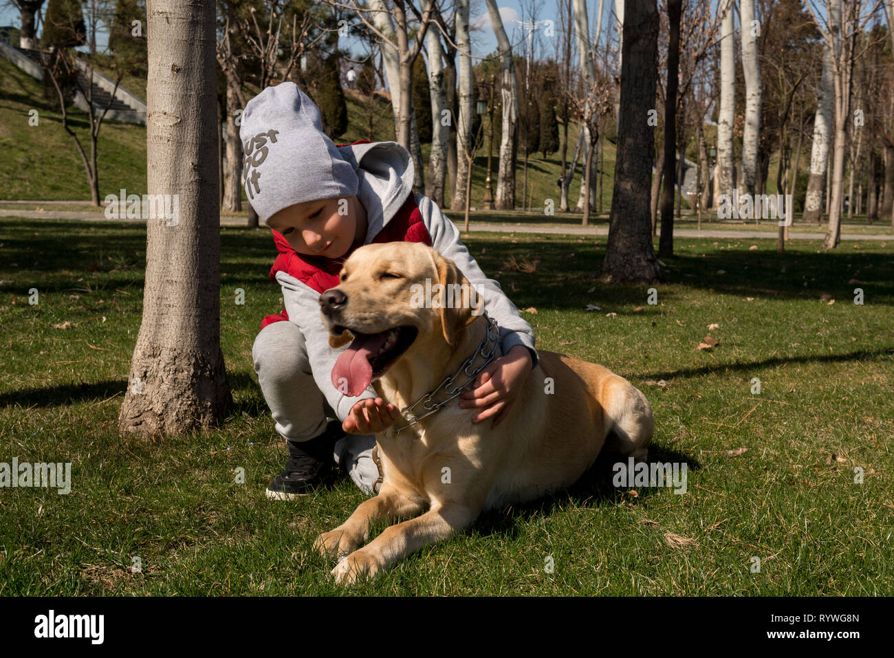 Boy playing with dog hi-res stock photography and images - Alamy