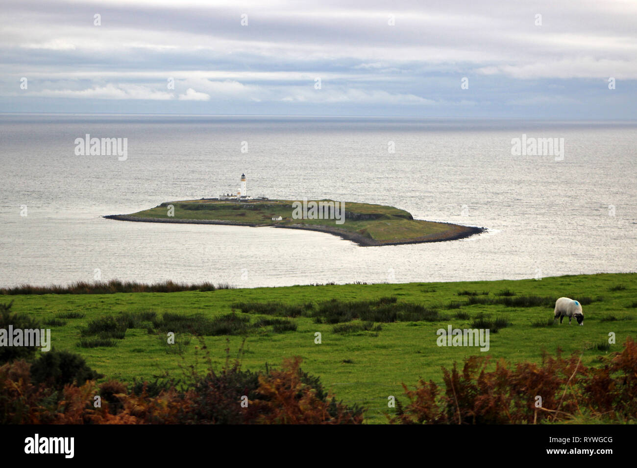 Pladda lighthouse and sheep viewed from Kildonan on the southern tip Of ...