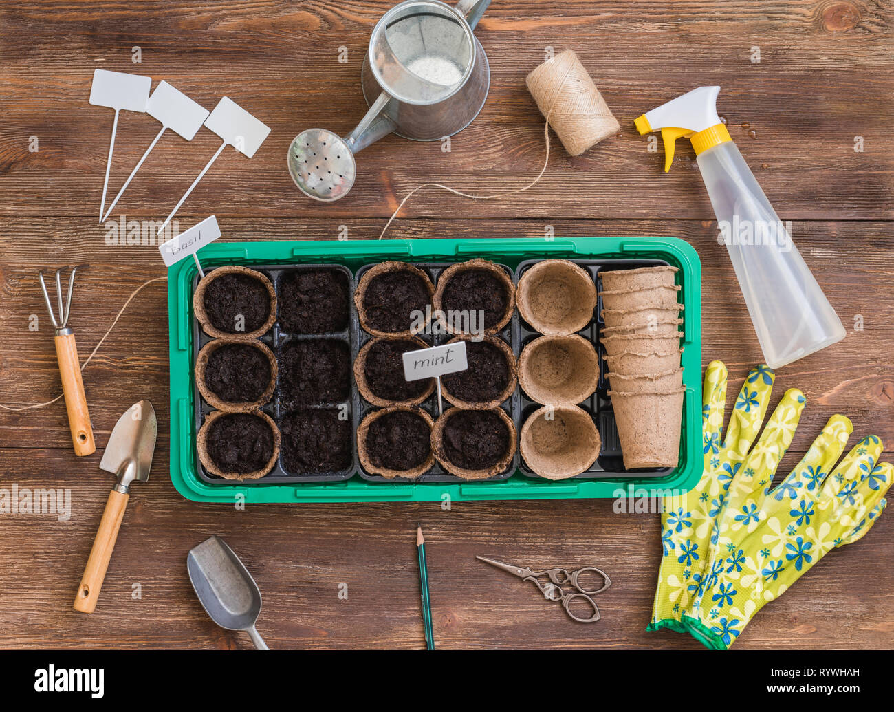 Stages of planting seeds, preparation, gardeners tools and utensils ...