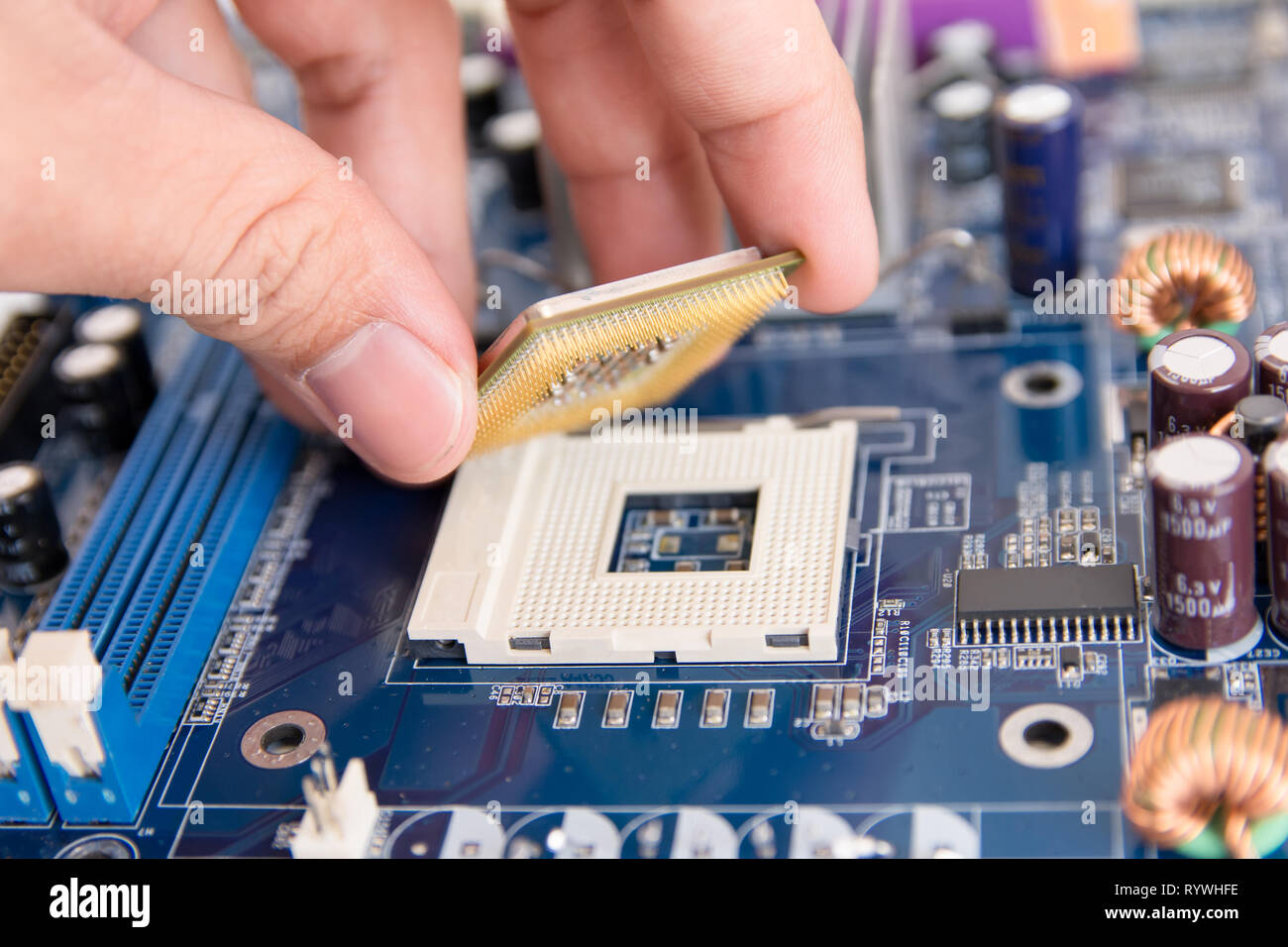 Technician installing CPU chip microprocessor to socket on motherboard ...