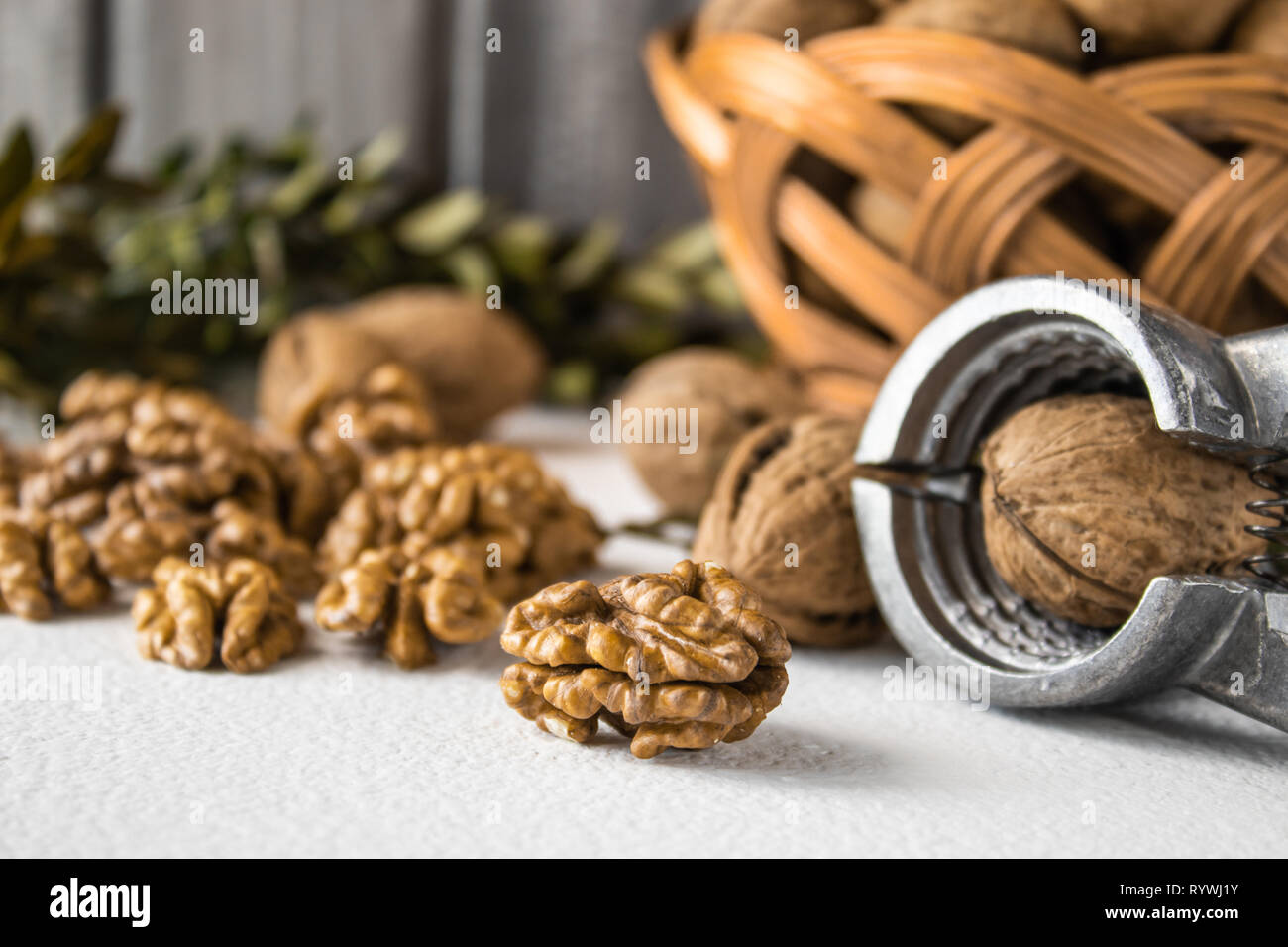 Ripe whole walnuts and peeled walnut kernels on a white background ...