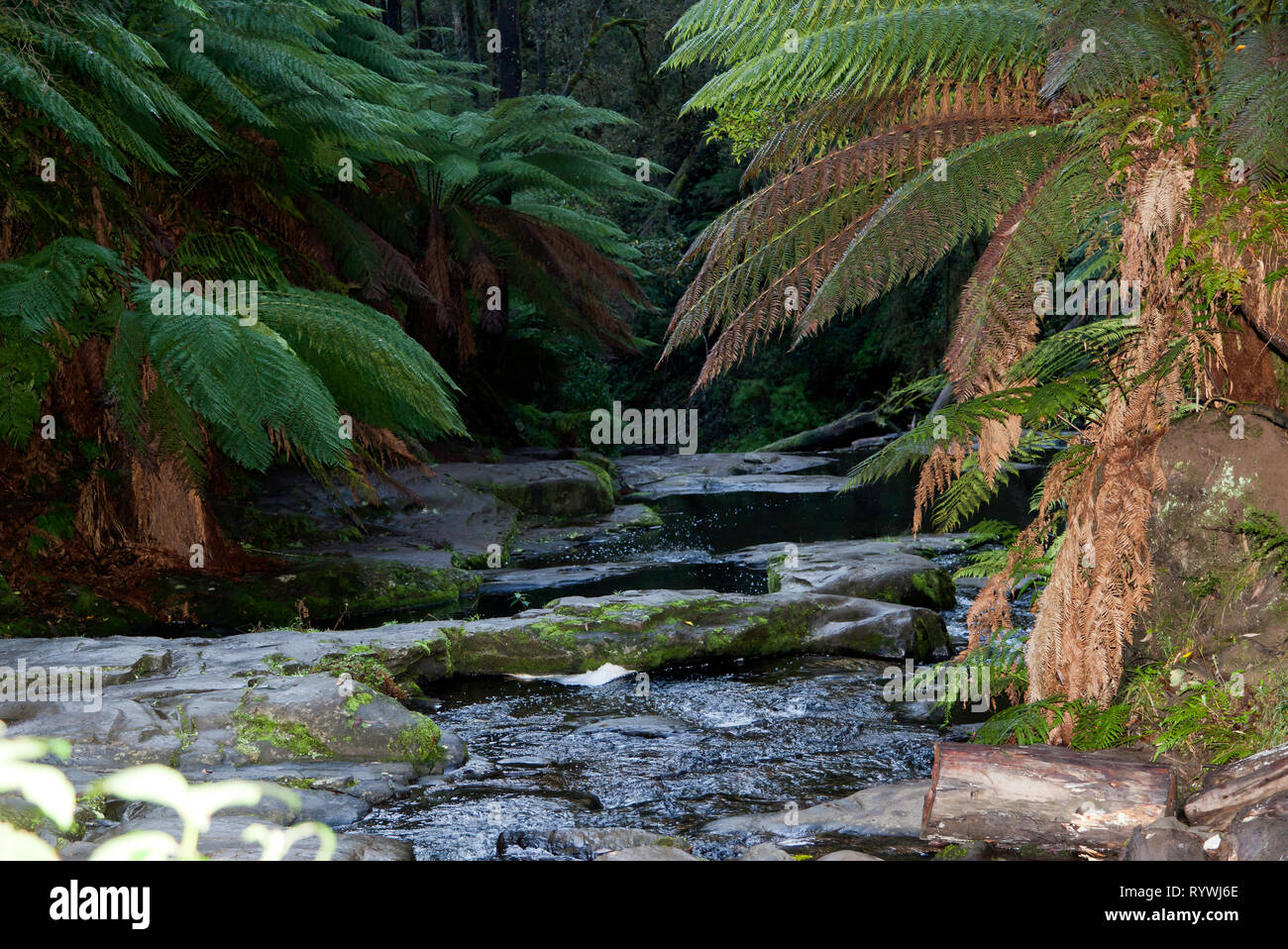 View of the Erskine River, Southwestern Victoria, Australia Stock Photo ...