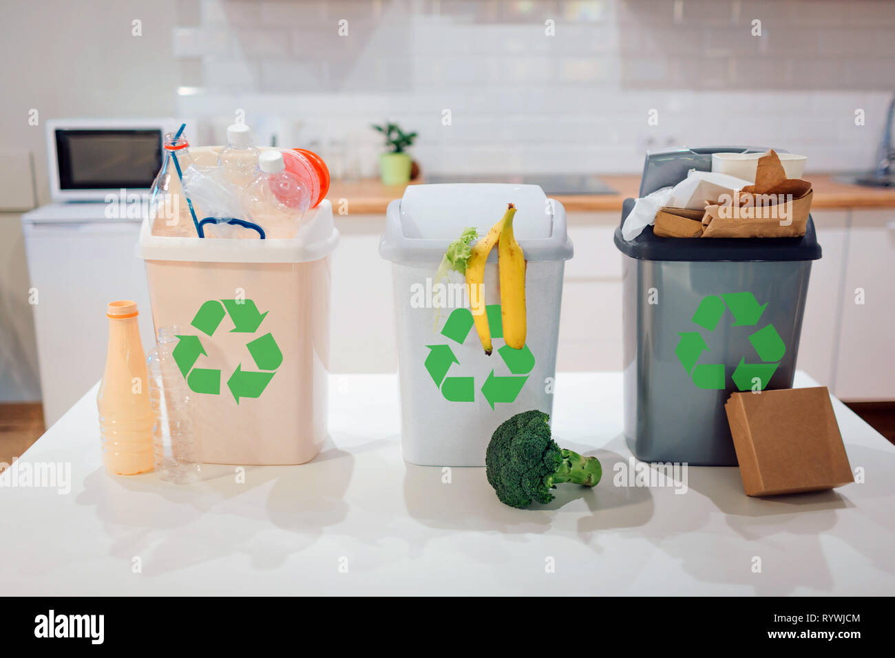 Waste sorting at home. Protect the environment. Colorful garbage bins ...