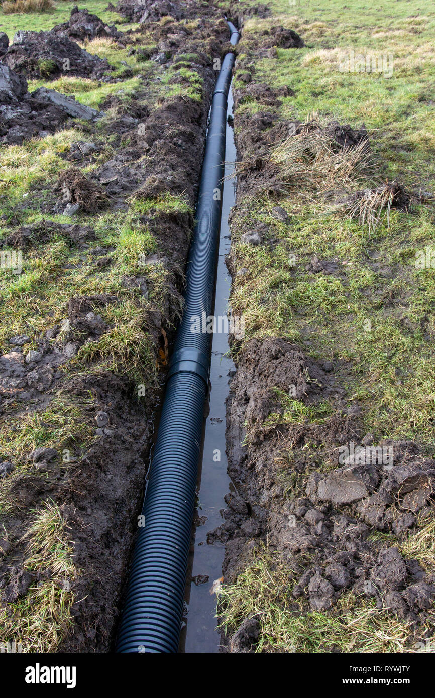 Waterlogged Soil Uk High Resolution Stock Photography and Images - Alamy