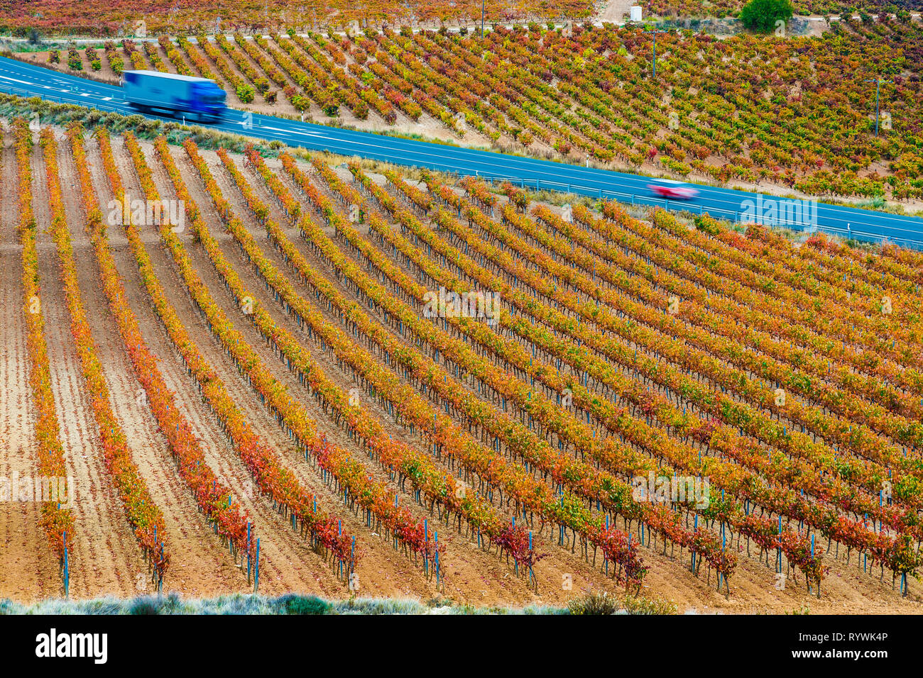 Vineyard and road hi-res stock photography and images - Alamy