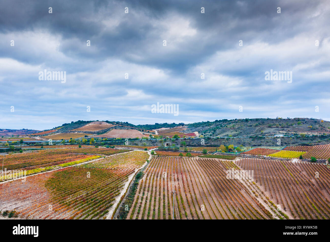 In vineyard la rioja hi-res stock photography and images - Alamy