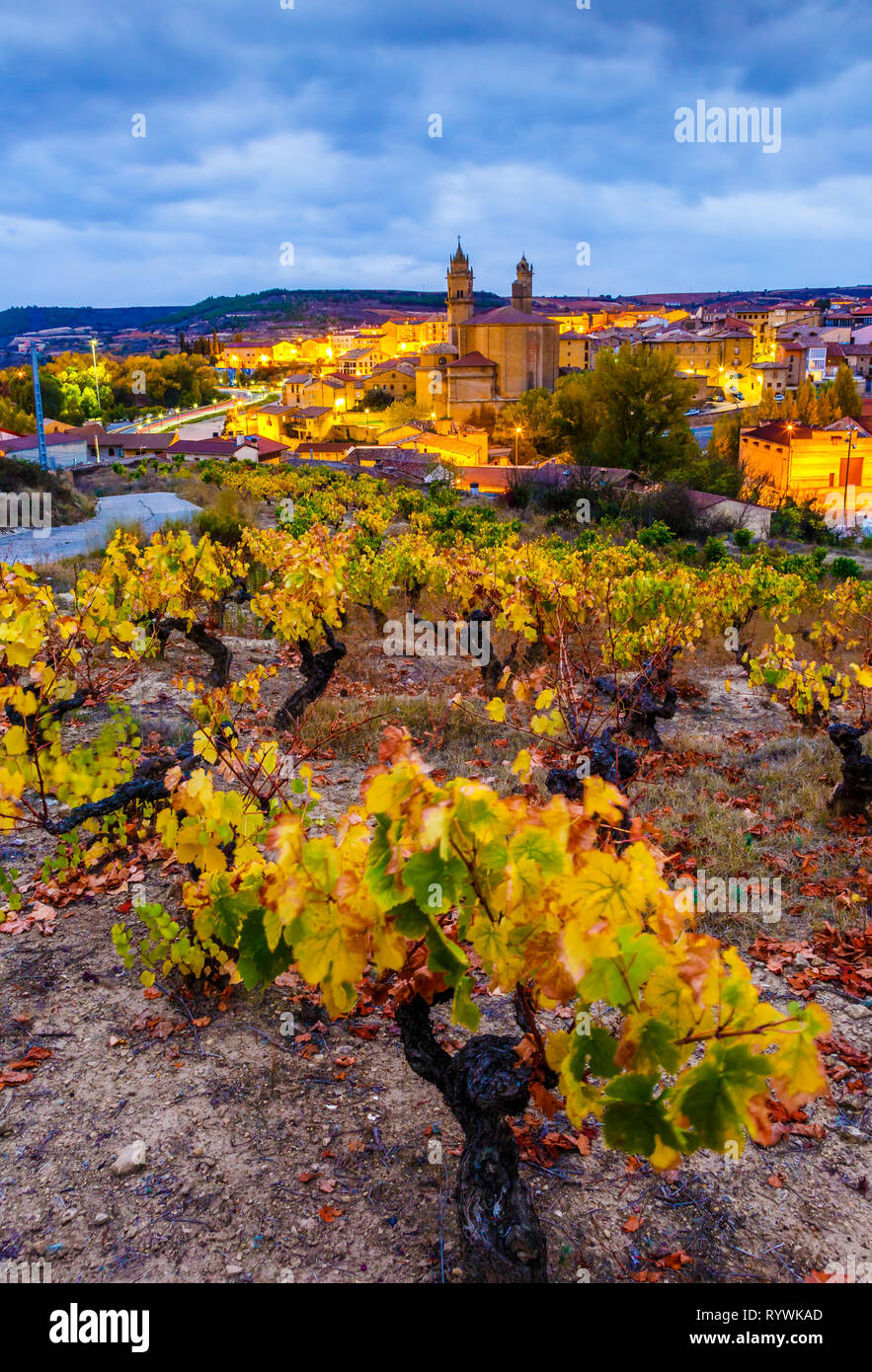 Spain basque vineyard hi-res stock photography and images - Alamy