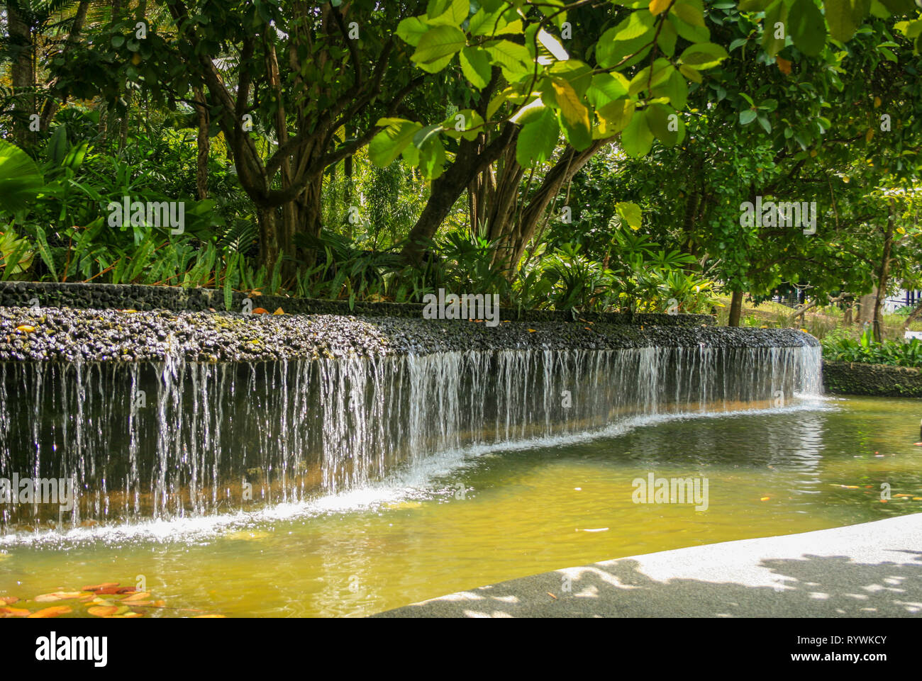 Waterfall at Singapore Botanic Gardens, Singapore Stock Photo - Alamy