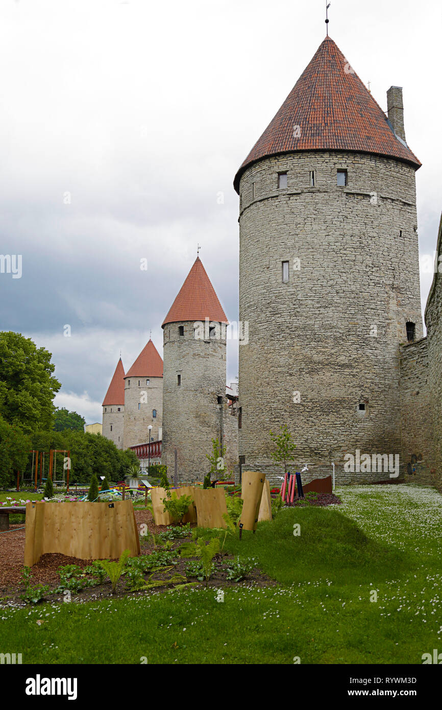 Medieval city wall and towers, Tallinn, Estonia Stock Photo - Alamy