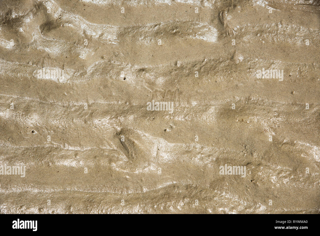 Bumps In The Sand High Resolution Stock Photography and Images - Alamy