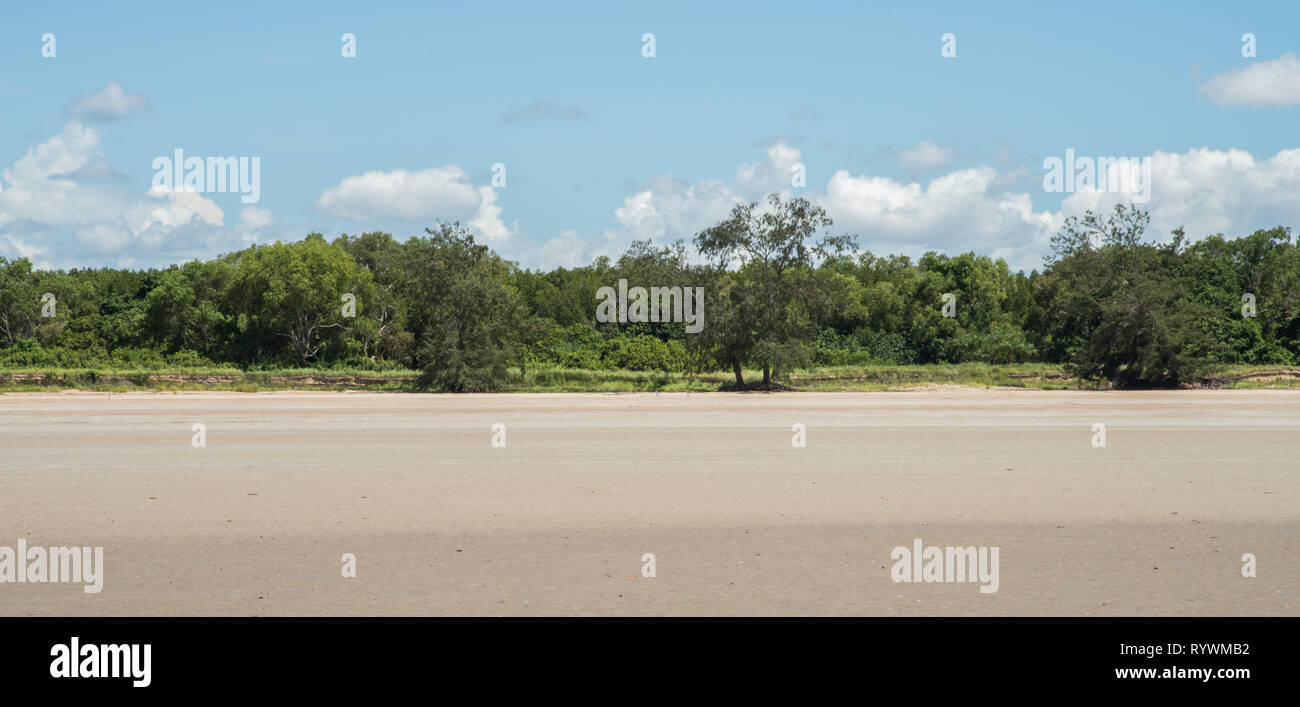 Native greenery bordering the Casuarina Beach in the Northern Territory ...