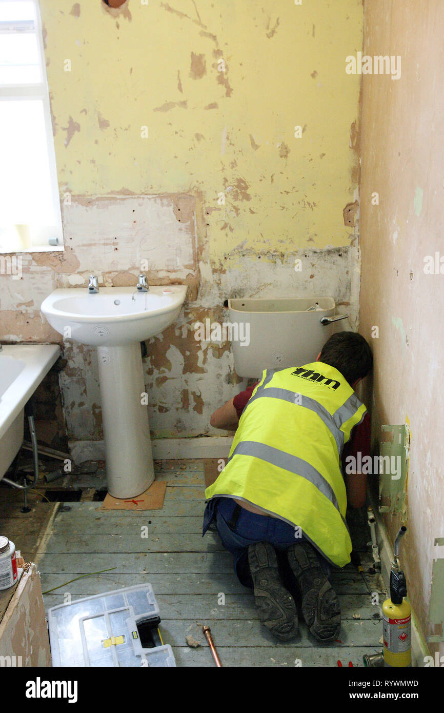 Nvq level 3 hi-res stock photography and images - Alamy