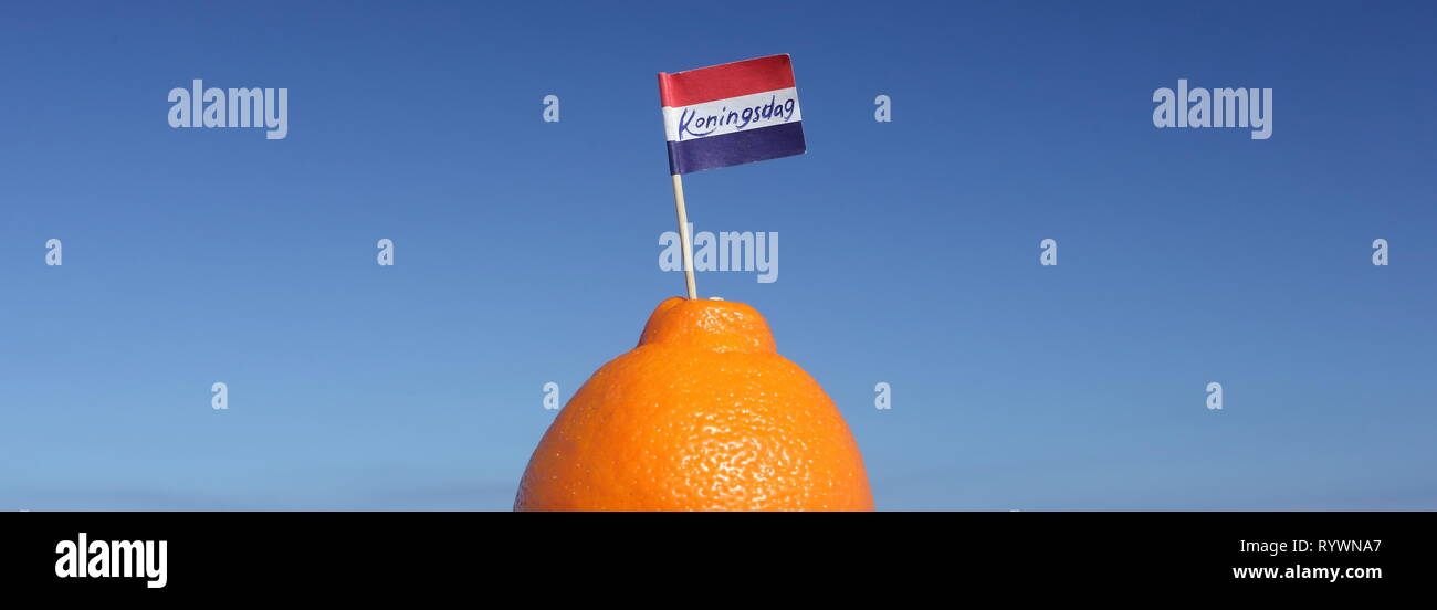 Orange fruit and Netherlands mini flag with text: KONINGSDAG - Kings ...