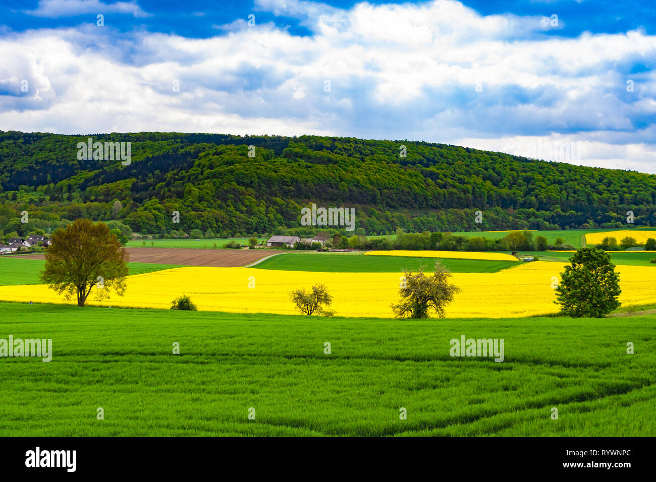 Beautiful panoramic view of the landscape in North Hesse. Cultivated ...