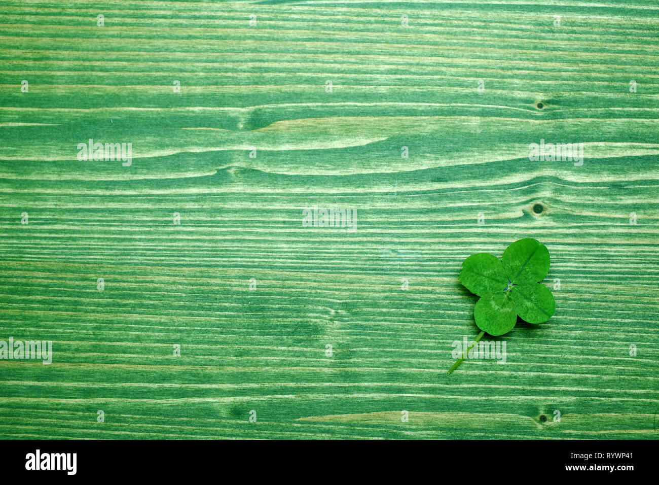 Four leaf clover cutout hi-res stock photography and images - Alamy