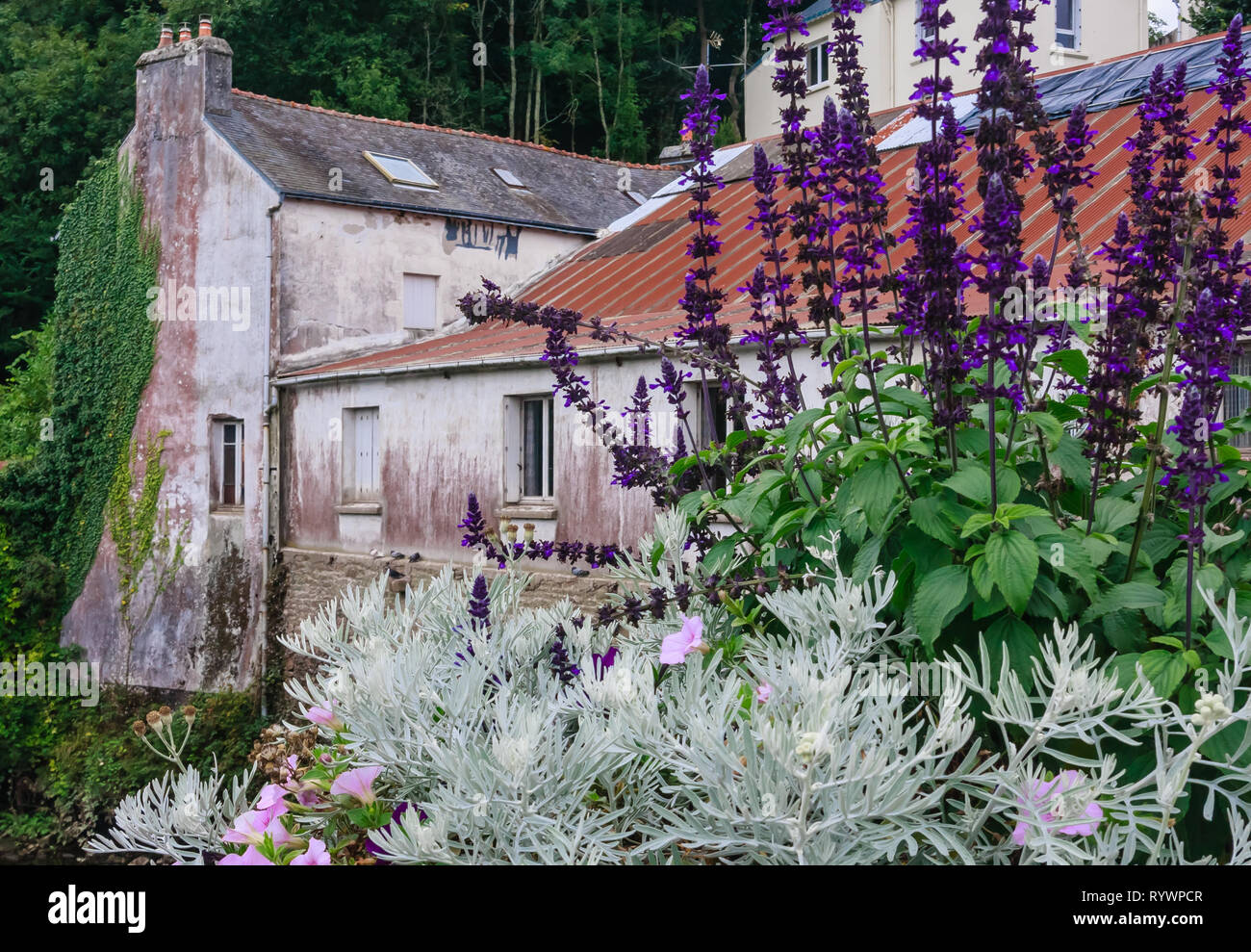 View of decorated with flower a historic town Quimperle (Kemperle ...