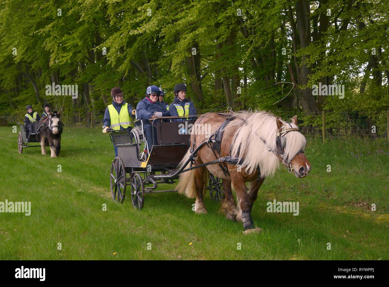 Carriage driving hi-res stock photography and images - Alamy