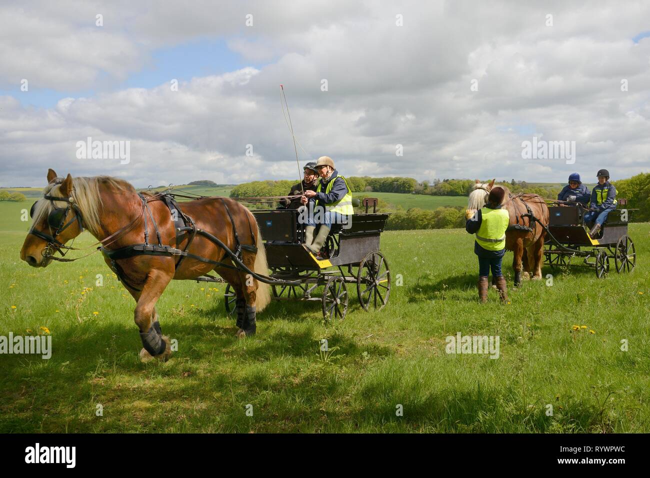 Riding for the disabled hi-res stock photography and images - Alamy
