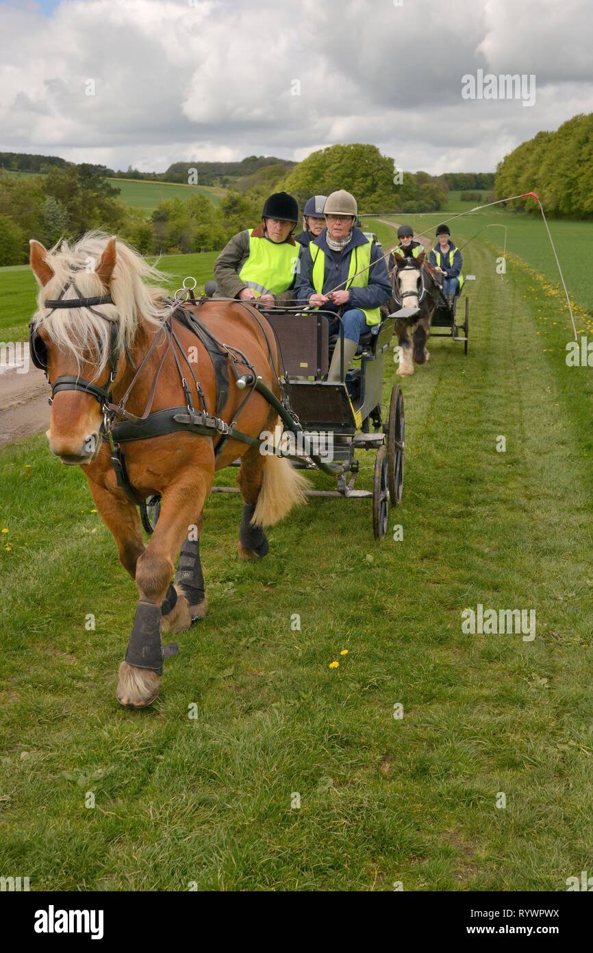 Carriage Driving run by the Riding for the Disabled Association ...