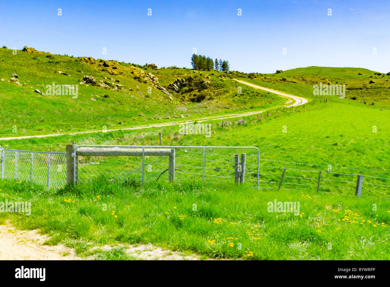 Dry farm track curving through fields and up slope across green ...