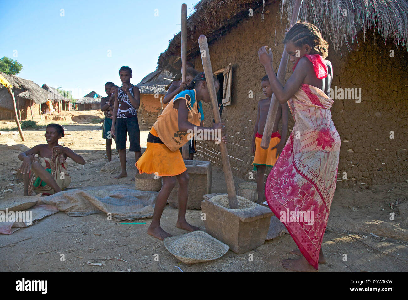 Grinding rice hi-res stock photography and images - Alamy