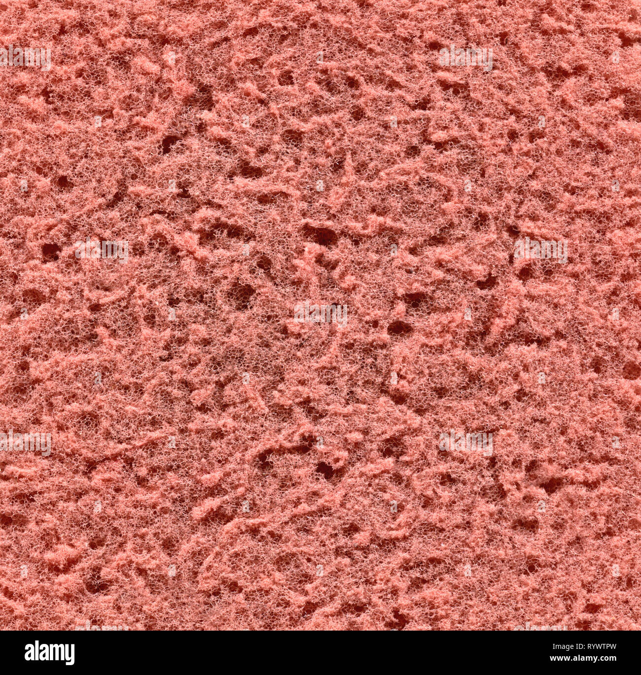 Pink sponge surface Stock Photo - Alamy