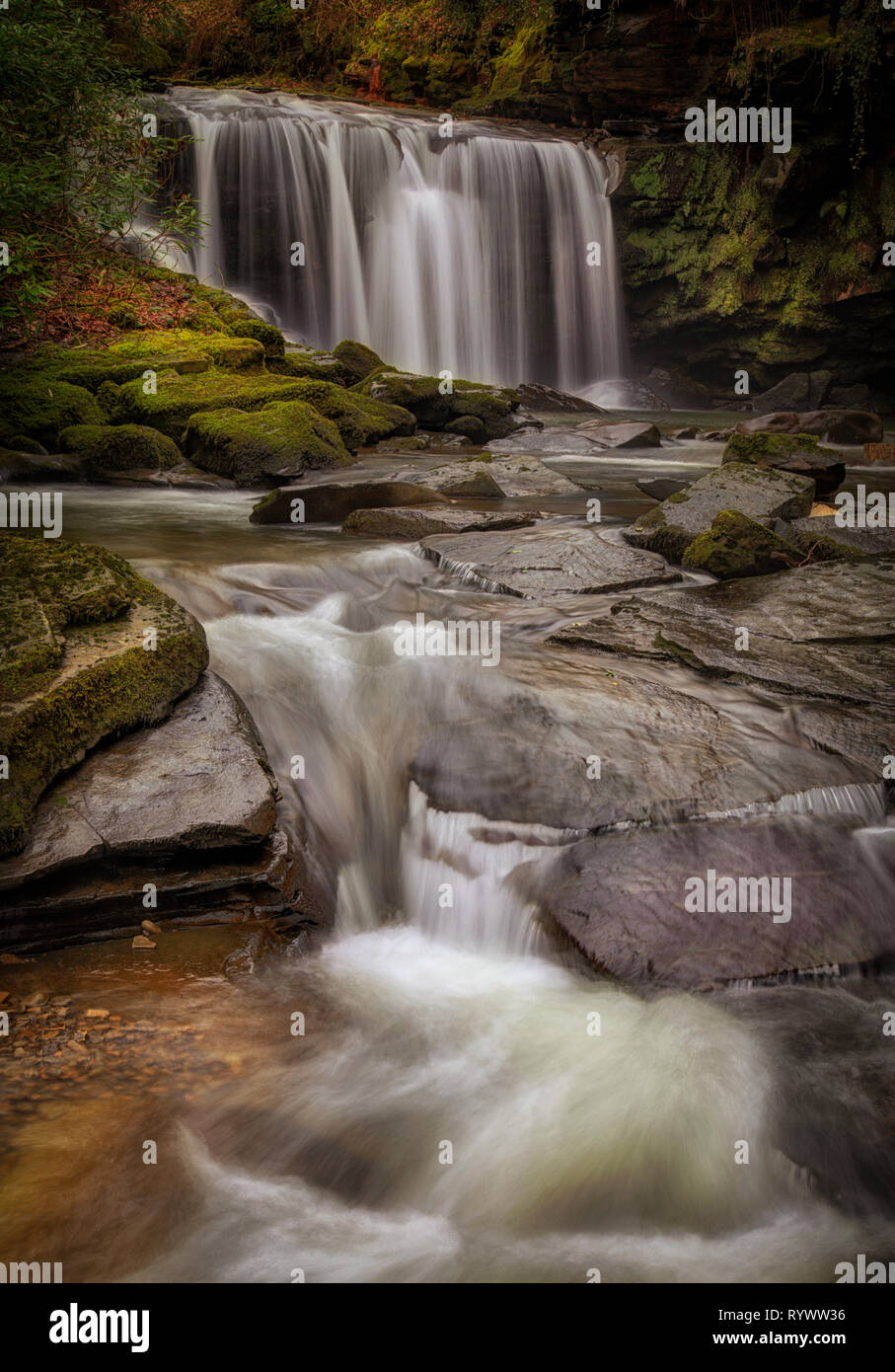 Rushing River Hd Wallpaper