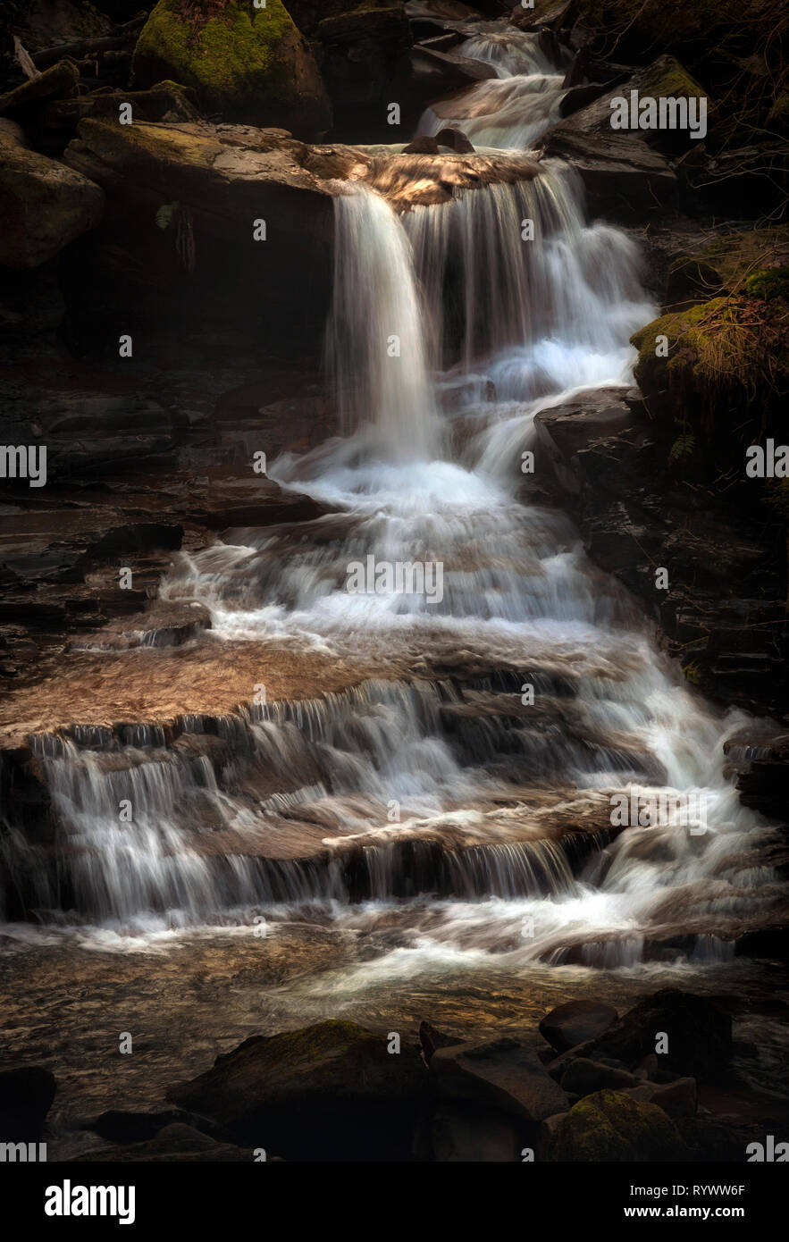 Melincourt hi-res stock photography and images - Alamy