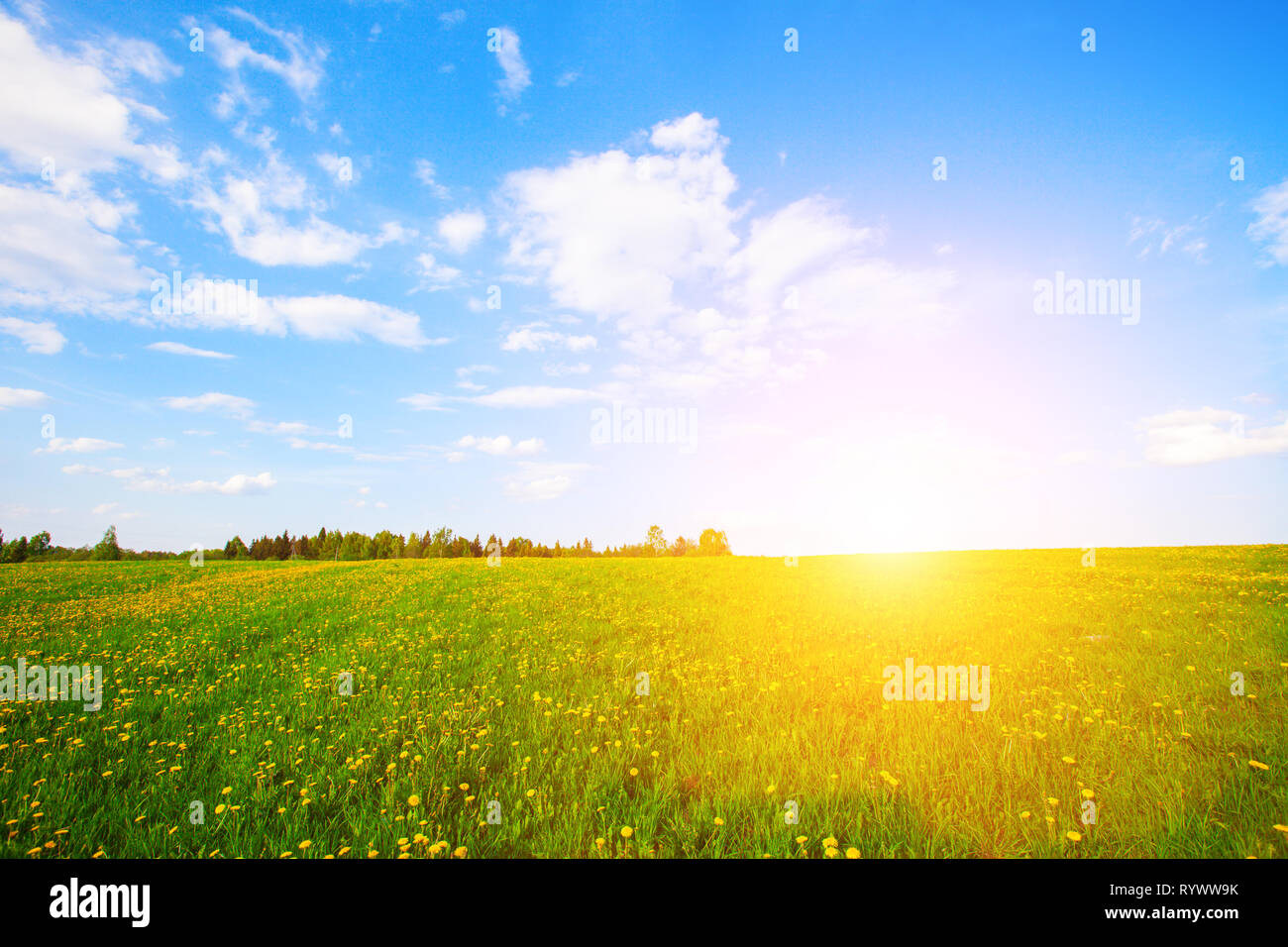 green field and beautiful sunset Stock Photo - Alamy
