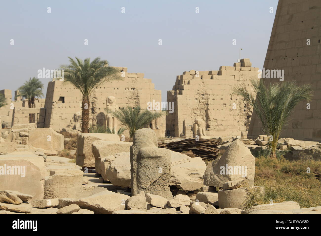Palm trees around the Karnak Temple Complex, Luxor, Egypt Stock Photo ... Palm trees around the Karnak Temple Complex, Luxor, Egypt Stock Photo ...