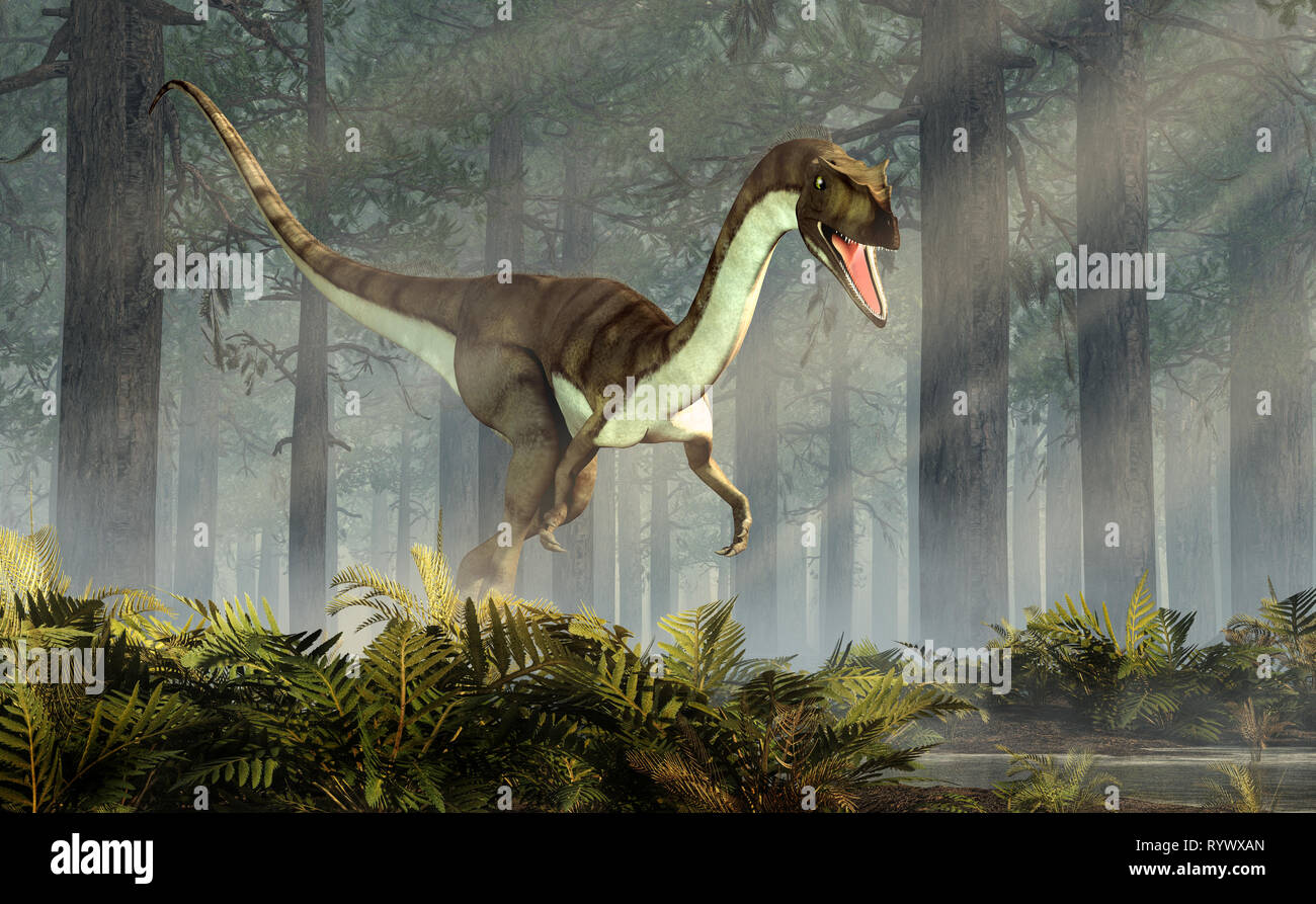 Coelophysis, one of the earliest dinosaurs, was a carnivorous theropod ...