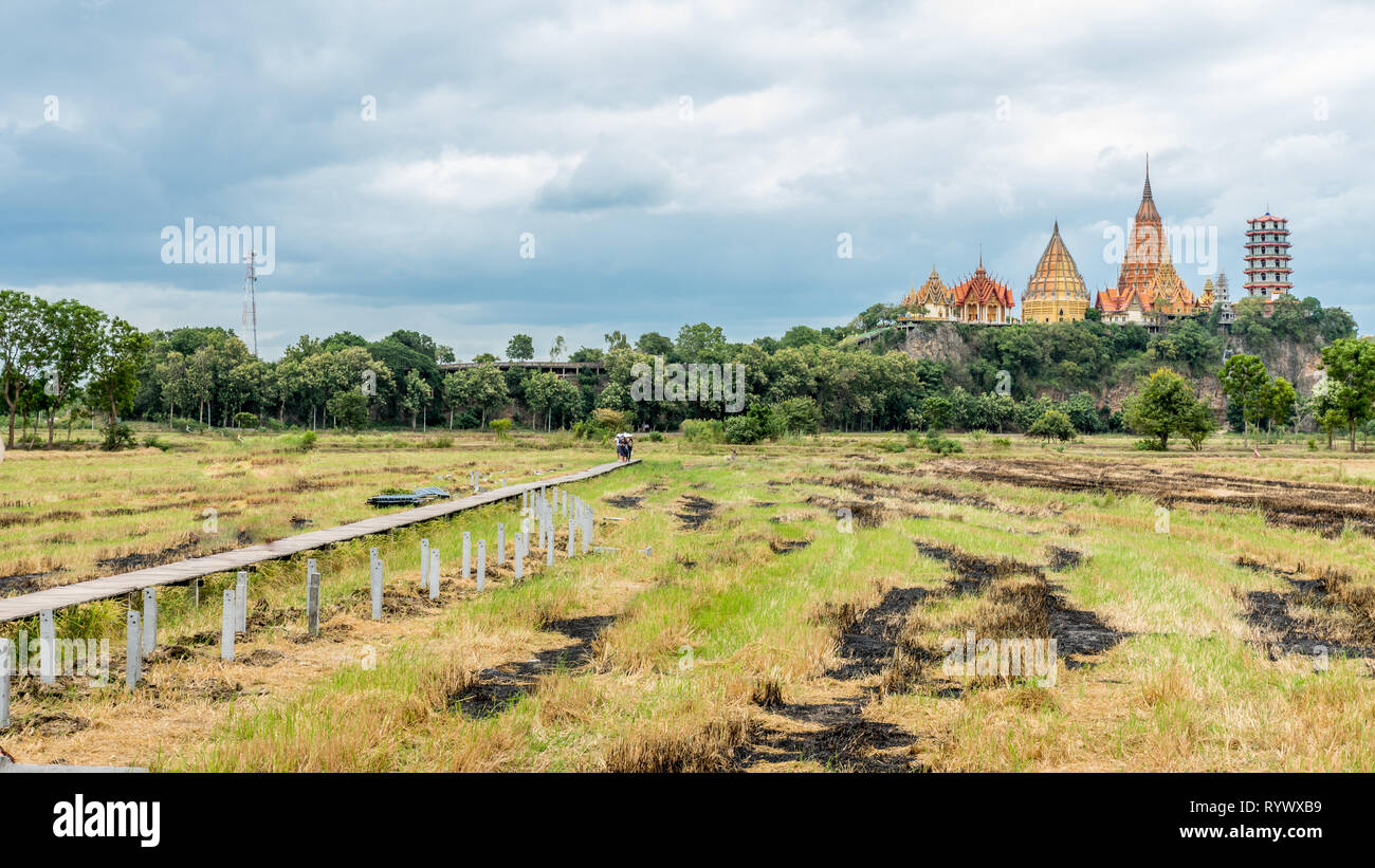 Rice field walk hi-res stock photography and images - Alamy