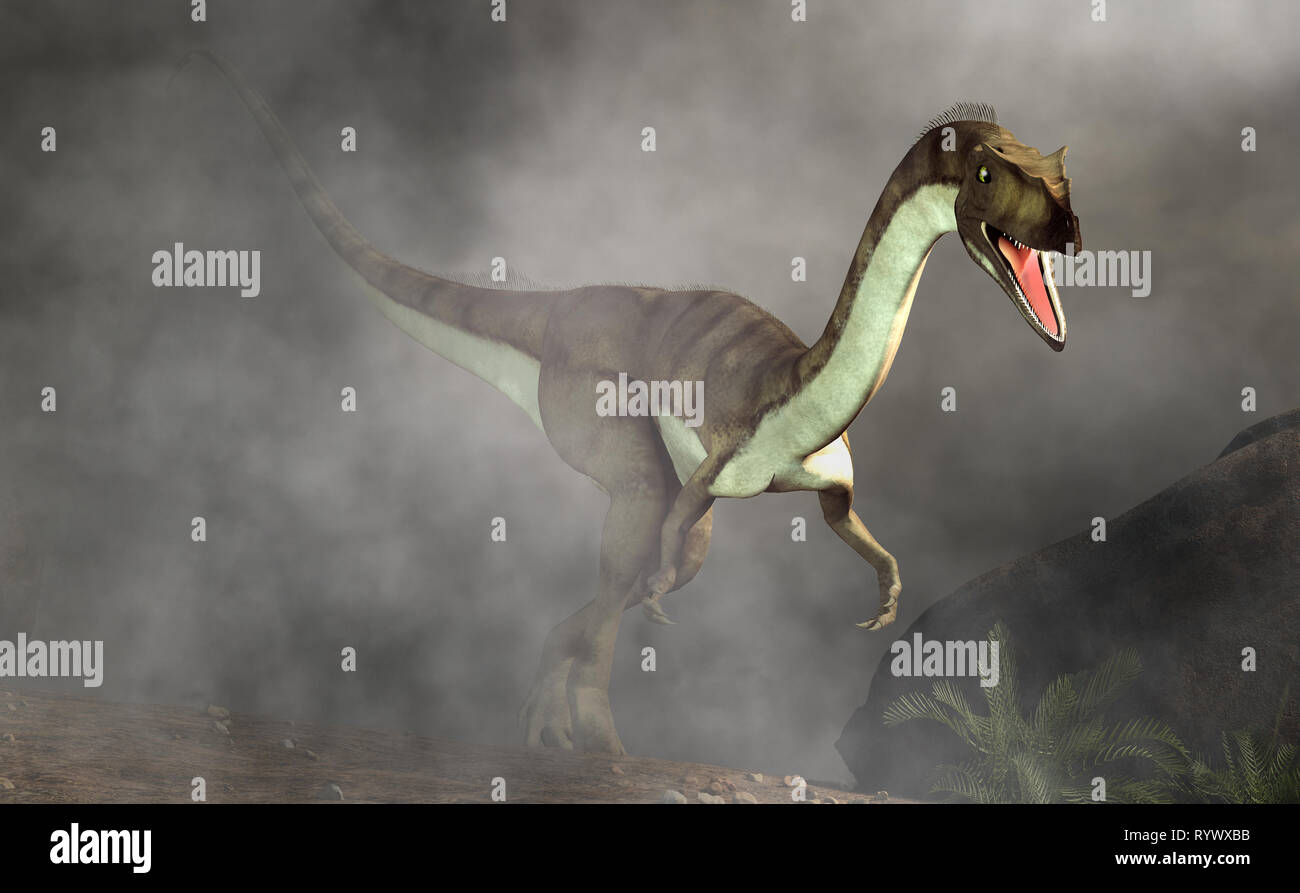 Coelophysis, one of the earliest dinosaurs, was a carnivorous theropod ...