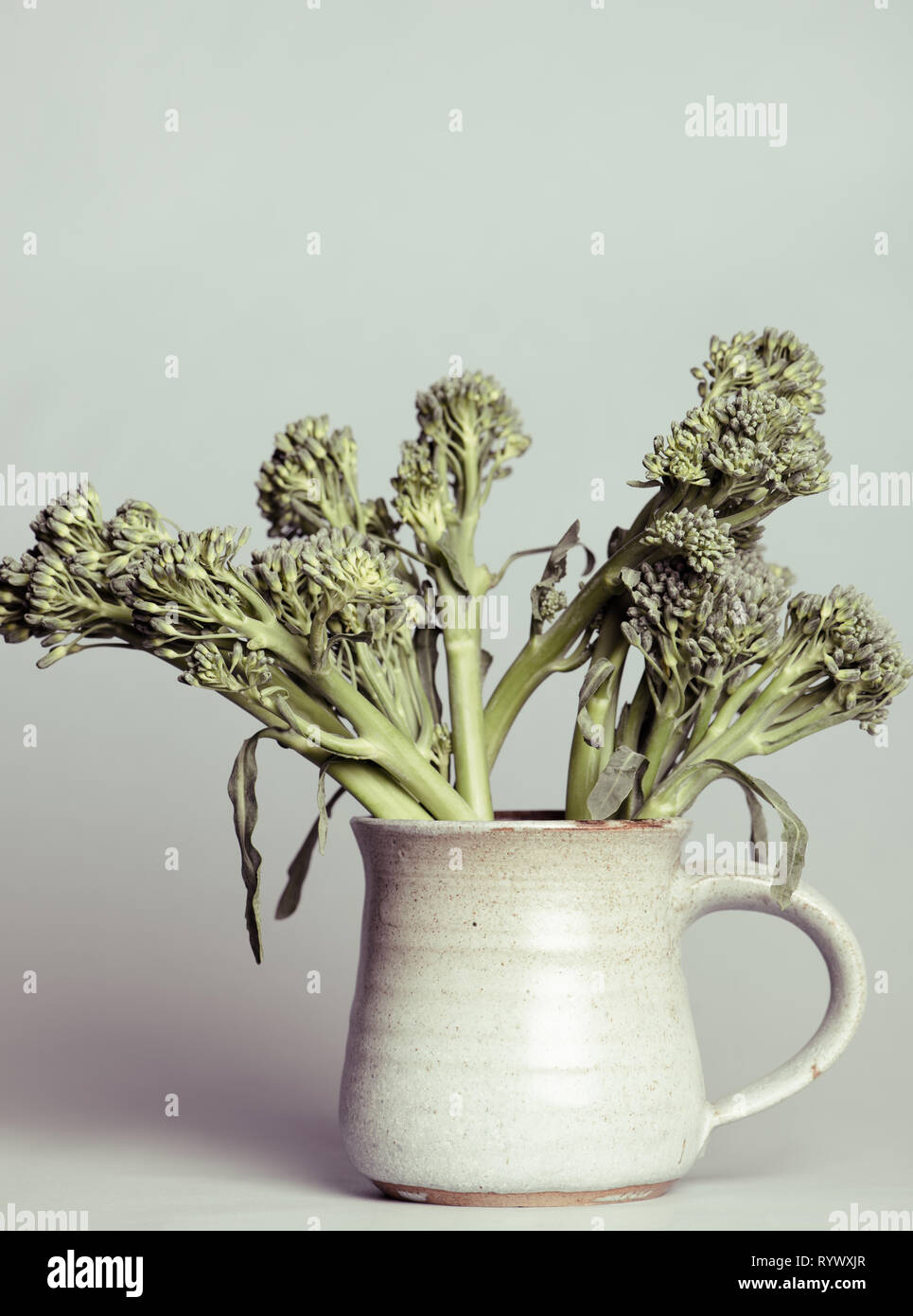 Baby broccoli hi-res stock photography and images - Alamy