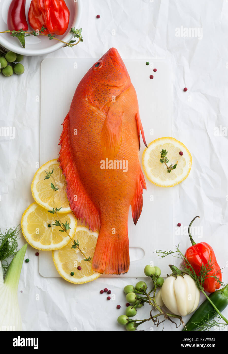 still life with red snapper Stock Photo - Alamy