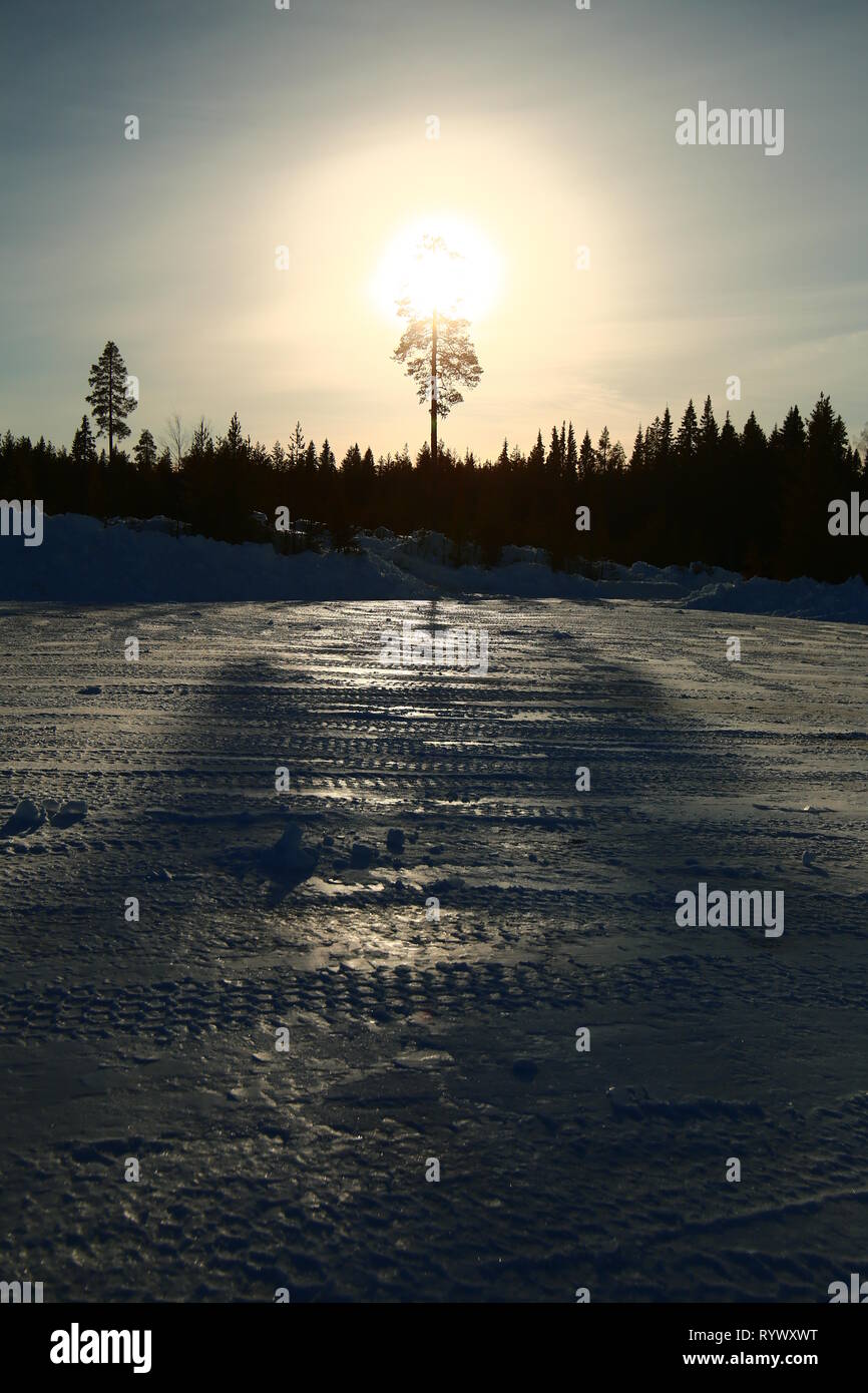 Backlit image hi-res stock photography and images - Alamy