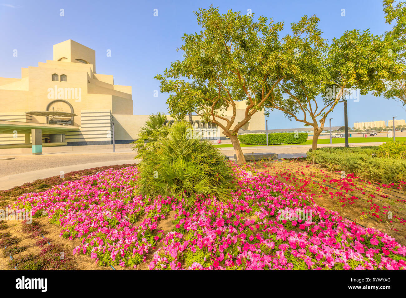 Flower beds and blooming trees along seafront of Doha Bay in Doha park ...