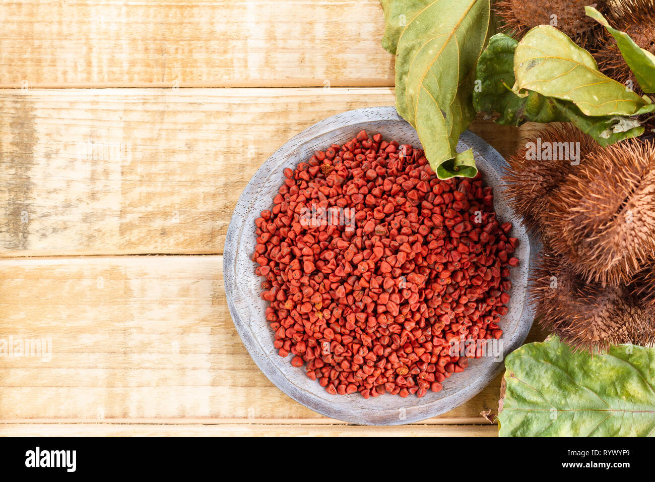Seeds of achiote, originating from central america and parts of south ...