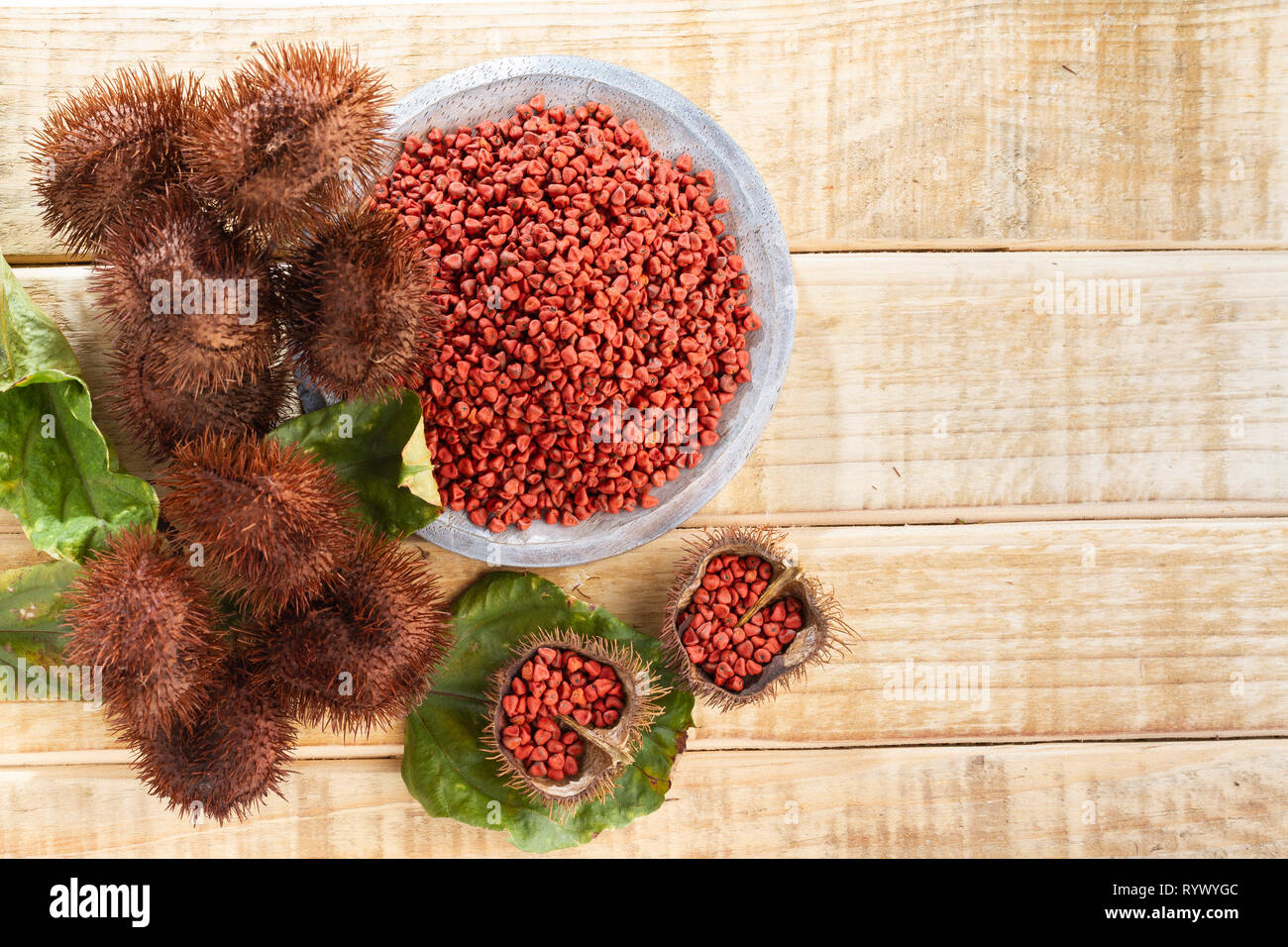 Seeds of achiote, originating from central america and parts of south ...