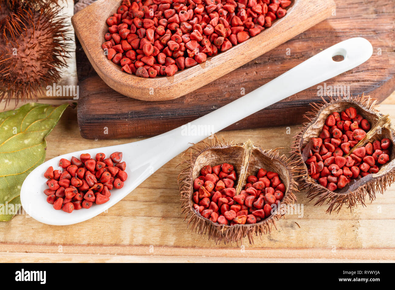 Seeds of achiote, originating from central america and parts of south ...