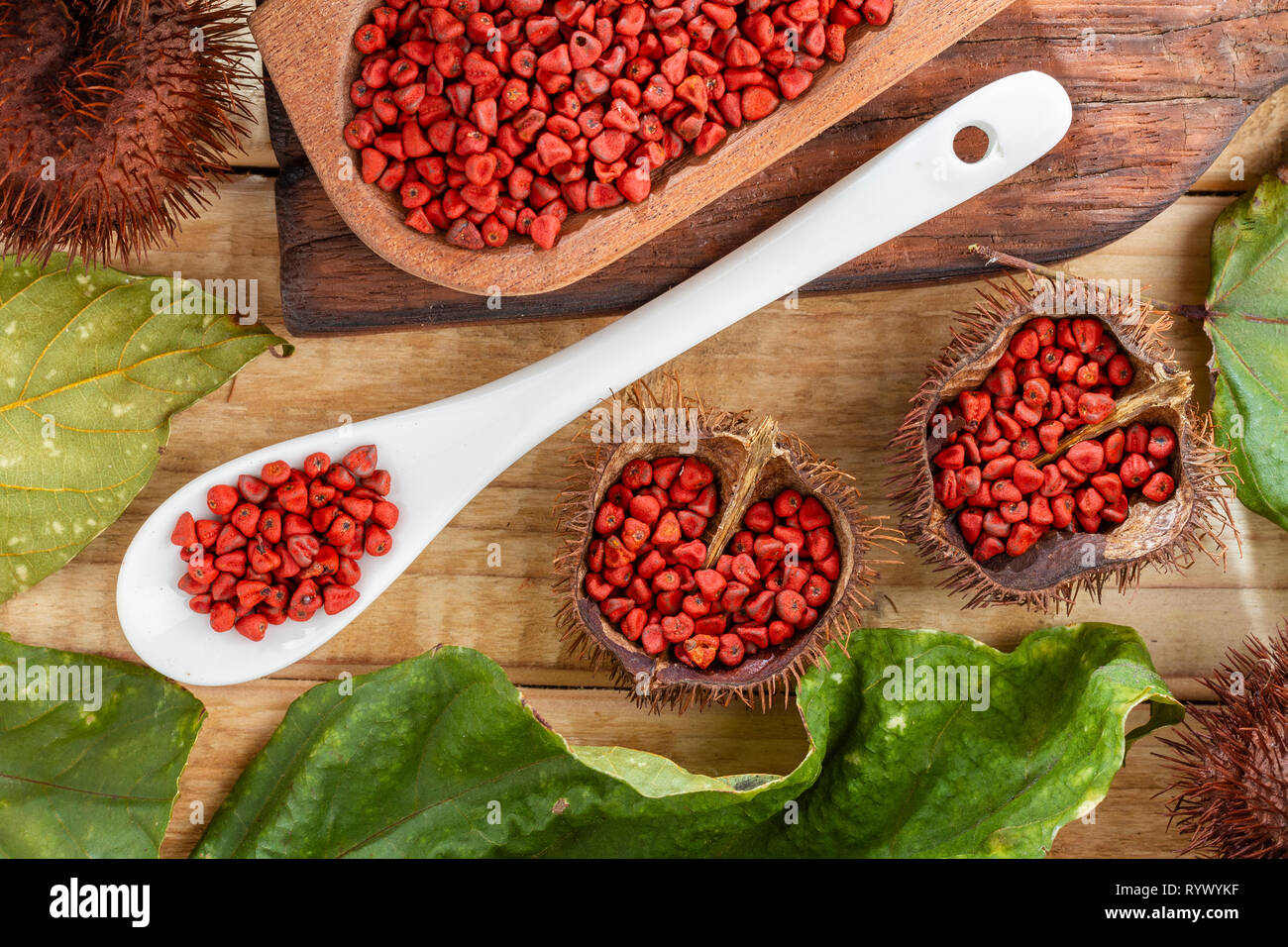 Seeds of achiote, originating from central america and parts of south ...