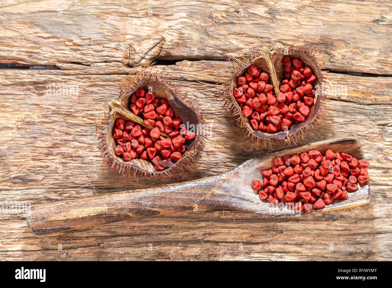 Seeds of achiote, originating from central america and parts of south ...