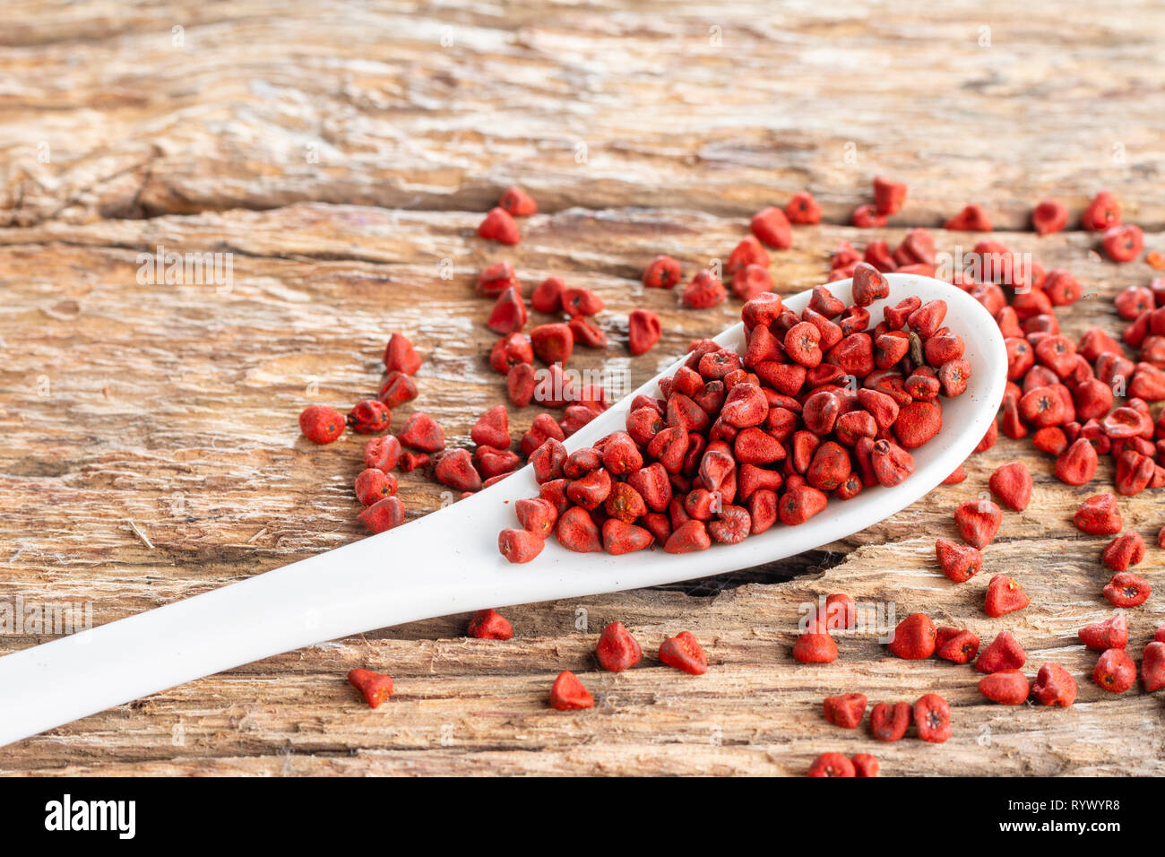 Seeds of achiote, originating from central america and parts of south ...